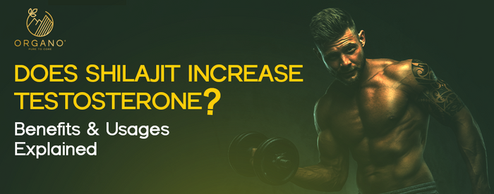 Does Shilajit Increase Testosterone? – Organo