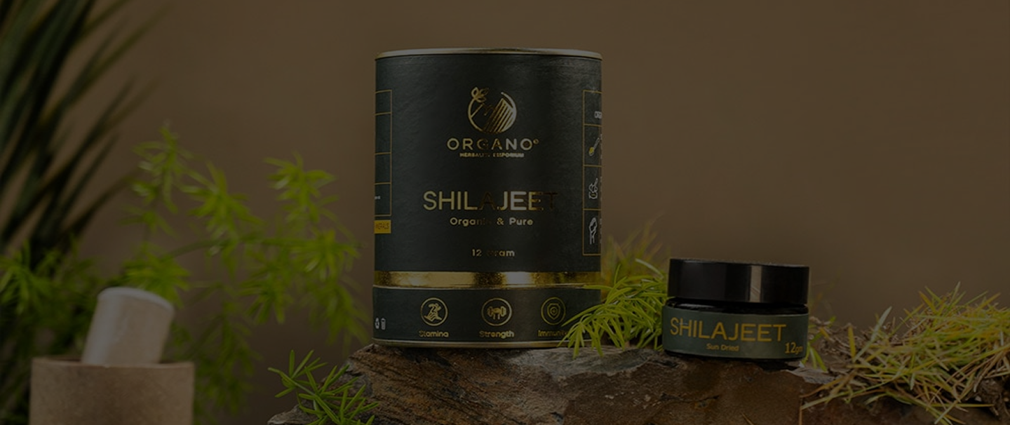 Buy Shilajit Resin in Pakistan – Authentic Salajeet at Best Price – Organo